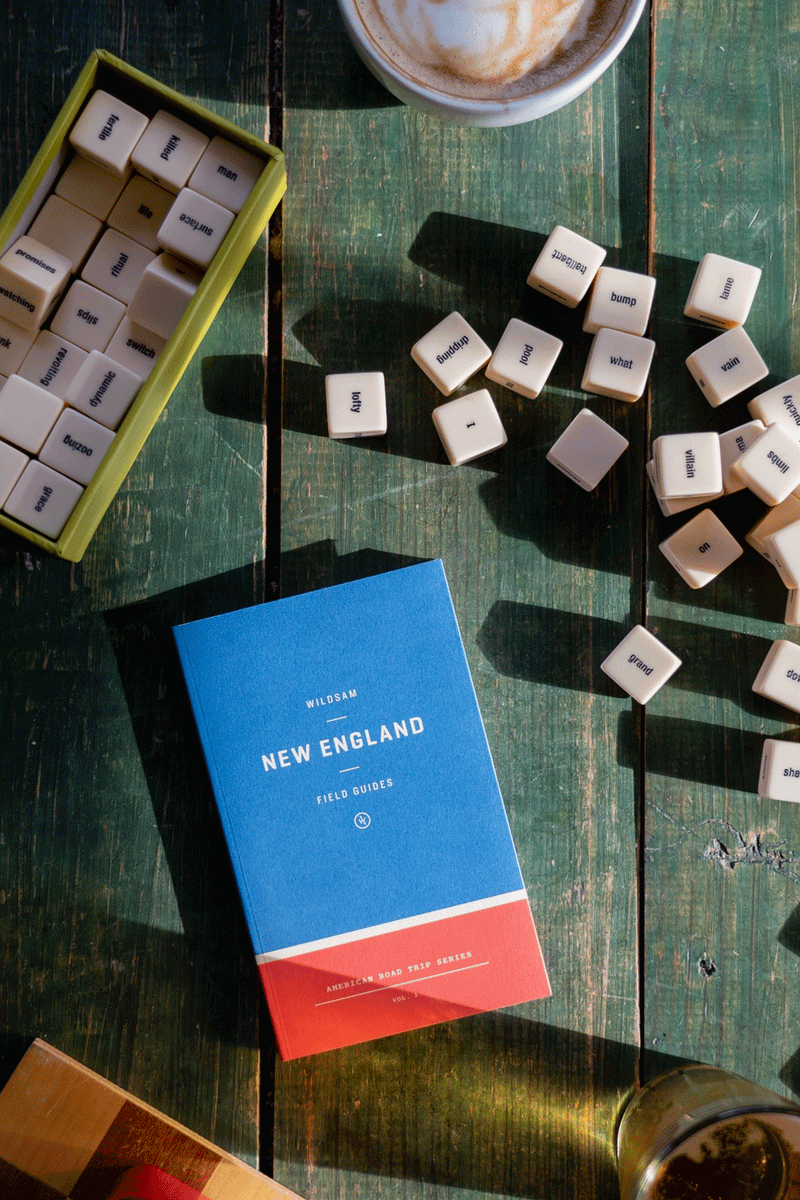 New England Field Guide Book – Elizabeth Boutique